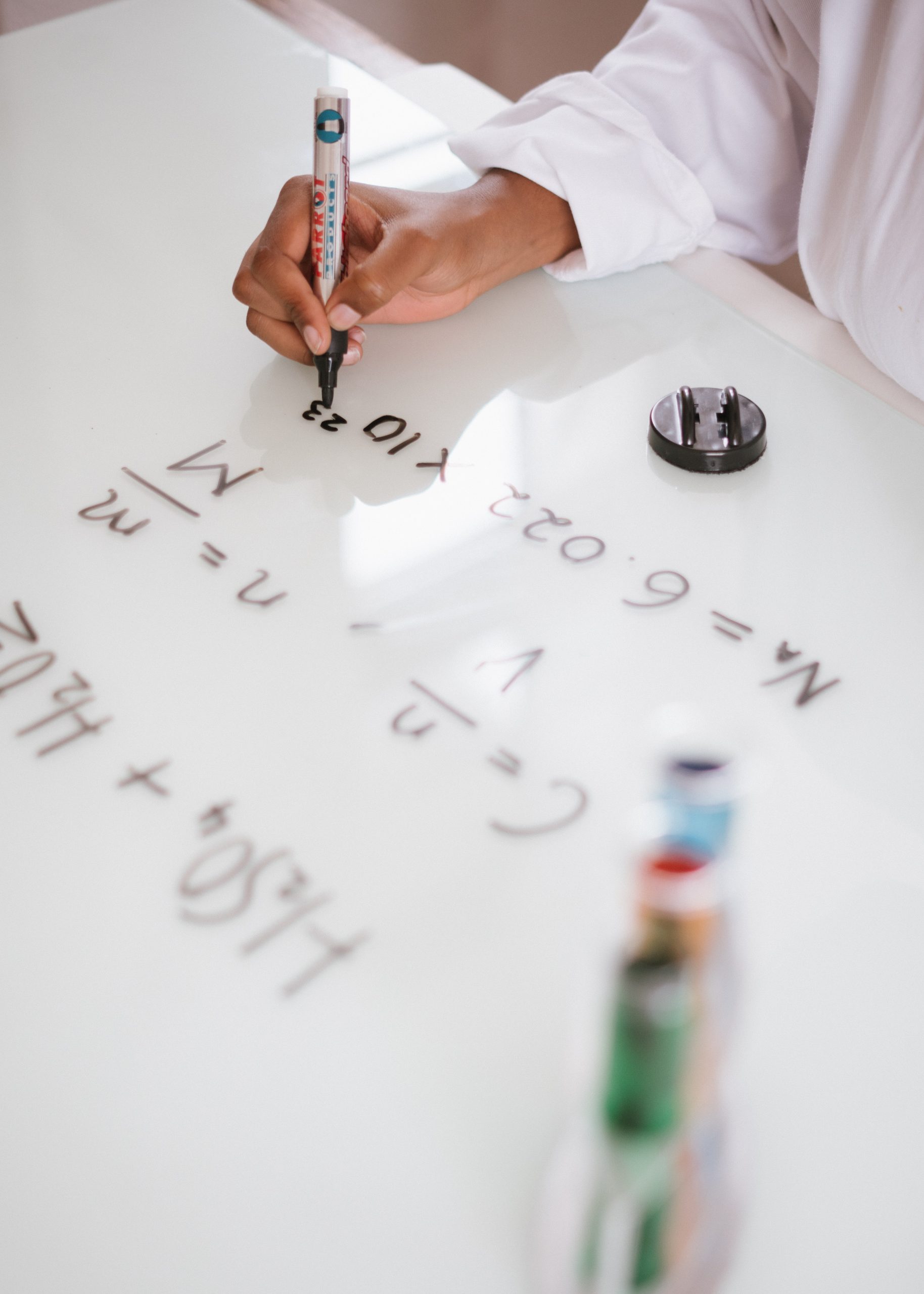 Doctorado Nacional ANID 2021: UDD duplica becas adjudicadas - UDD