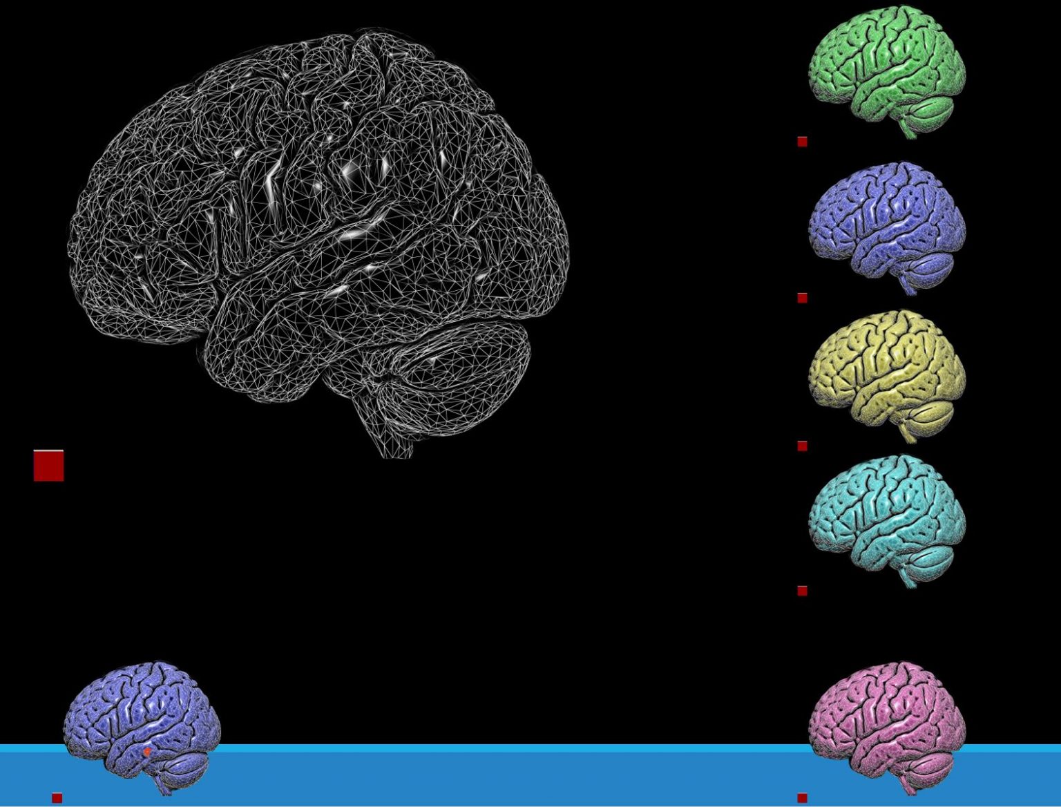 Método para procesar imágenes cerebrales - UDD