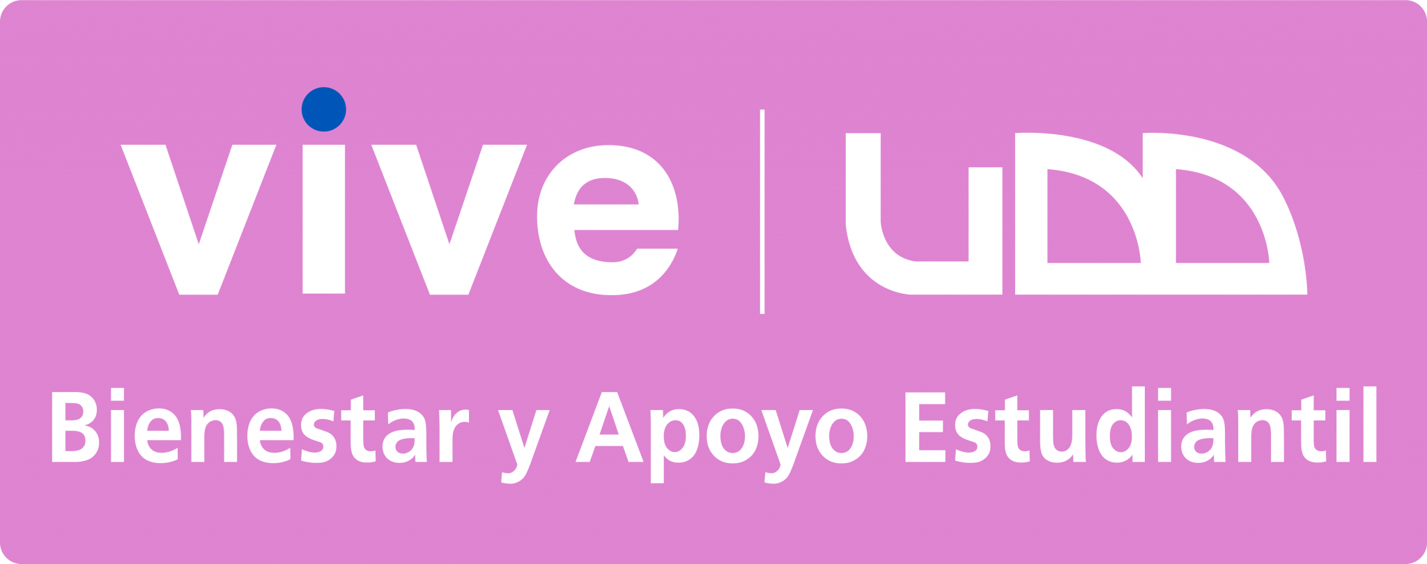 Bienestar y Apoyo Estudiantil da por finalizados sus programas 2021 - UDD