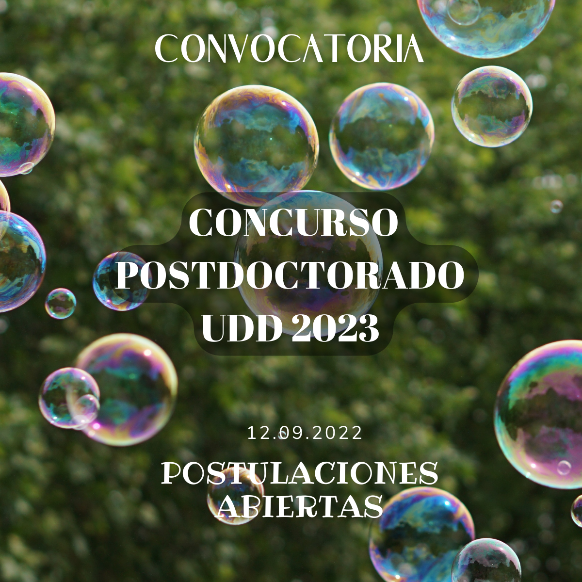 Nueva Convocatoria Concurso Postdoctorado UDD 2023 - UDD