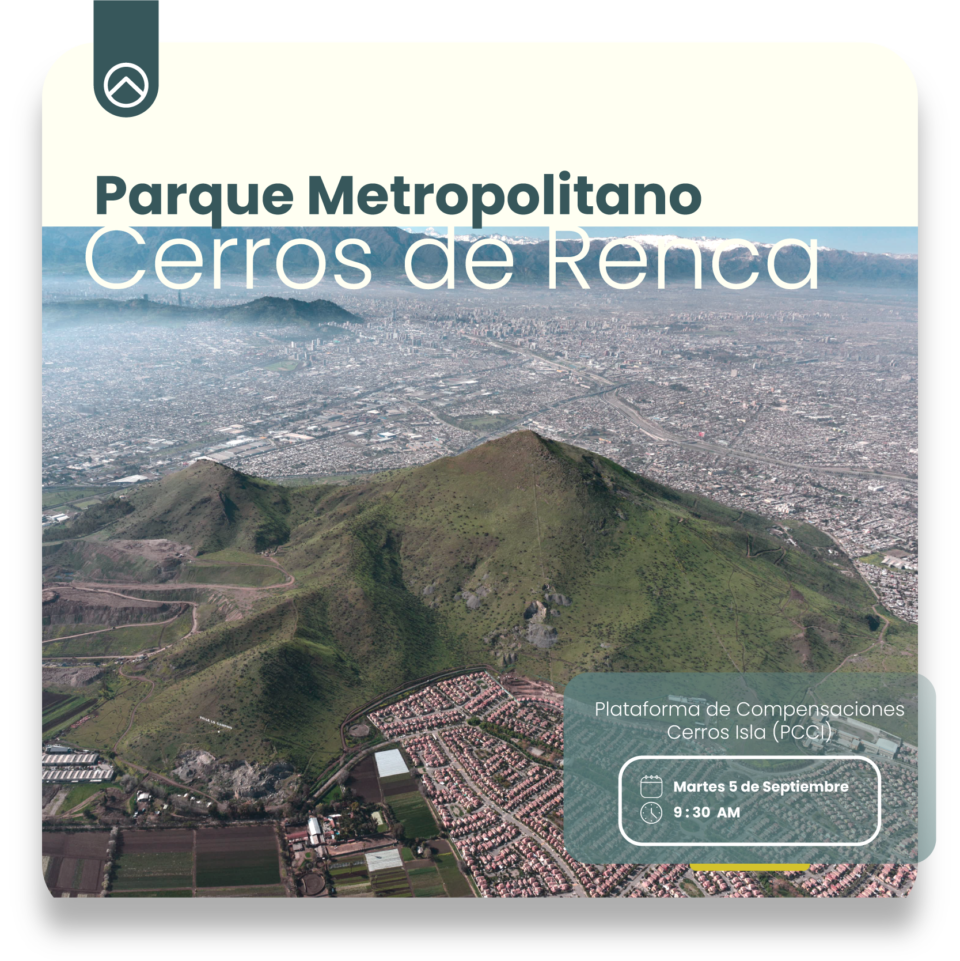 Centro de Innovación en Ciudades desarrolla Plataforma de Compensaciones en Cerros Isla - UDD