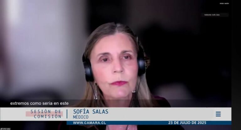 Sofía Salas expuso sobre maternidad subrogada en la Comisión de Familia de la Cámara de ...